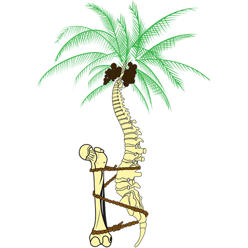 Orthopedic Tree Logo